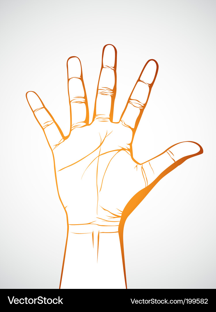 Palm Royalty Free Vector Image - VectorStock