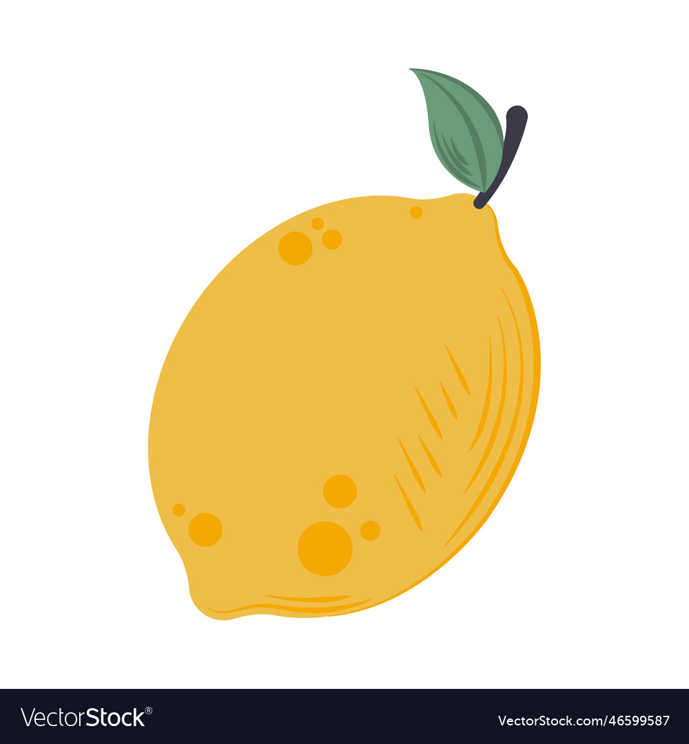 Natural fresh organic fruit lemon Royalty Free Vector Image