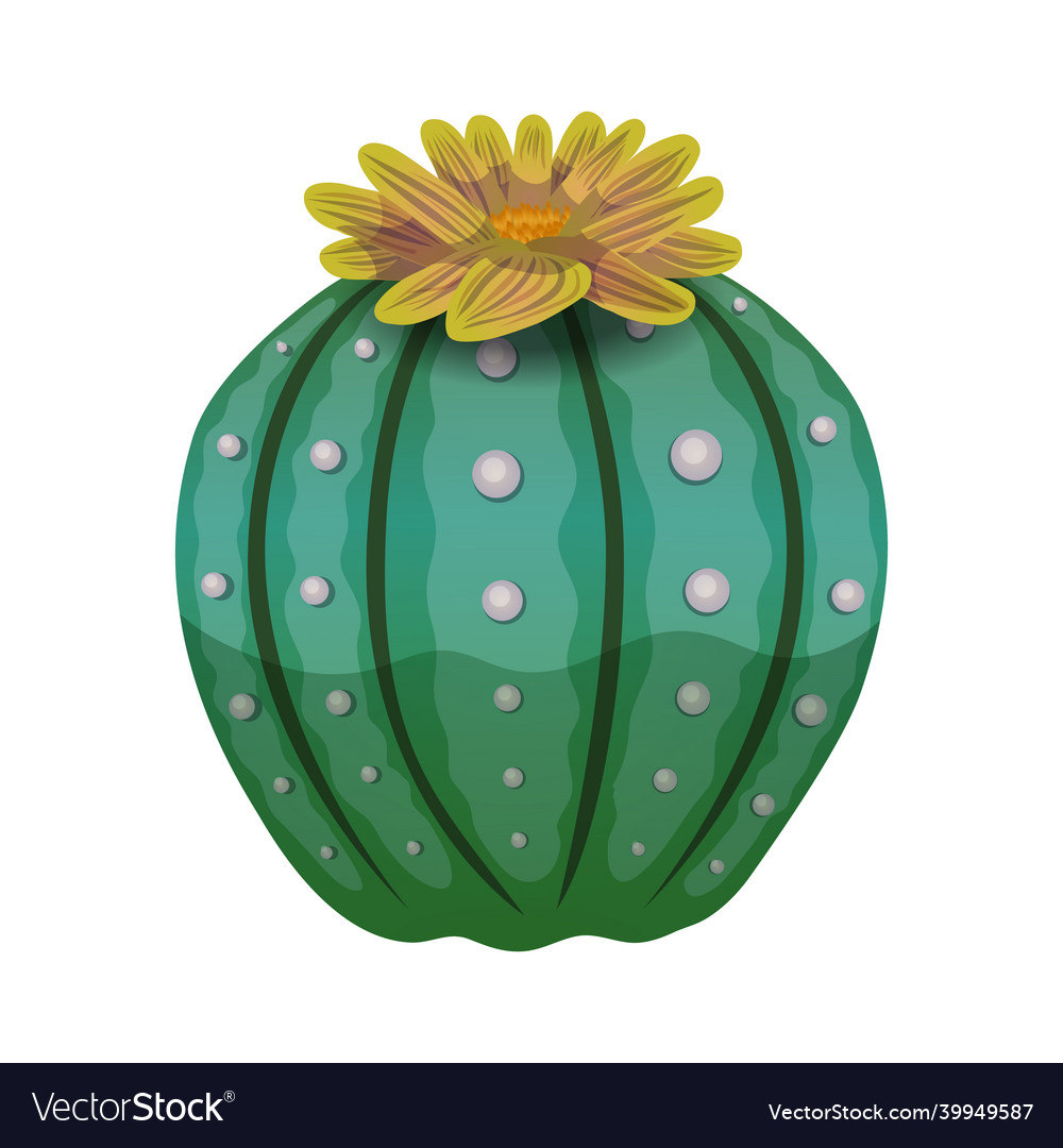 Pumpkin craft cactus composition Royalty Free Vector Image