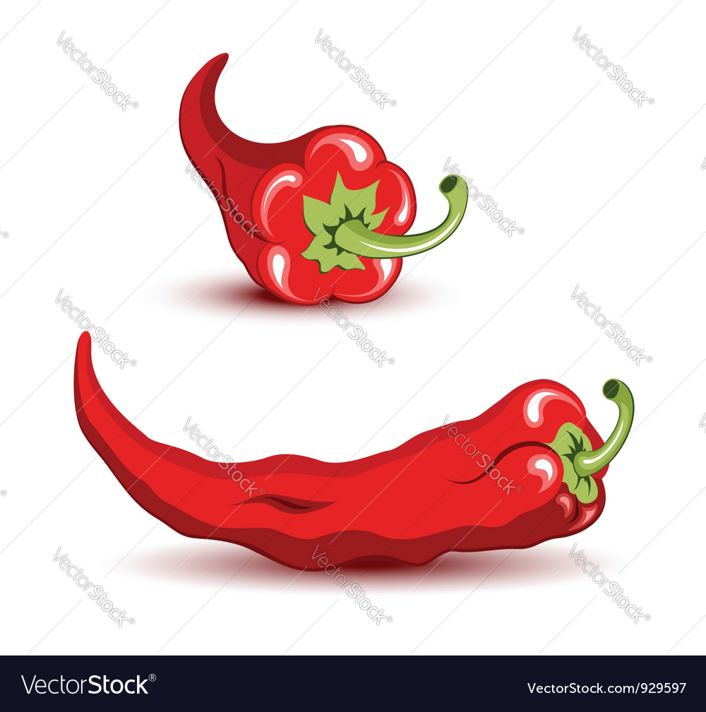 Pepper Royalty Free Vector Image - VectorStock