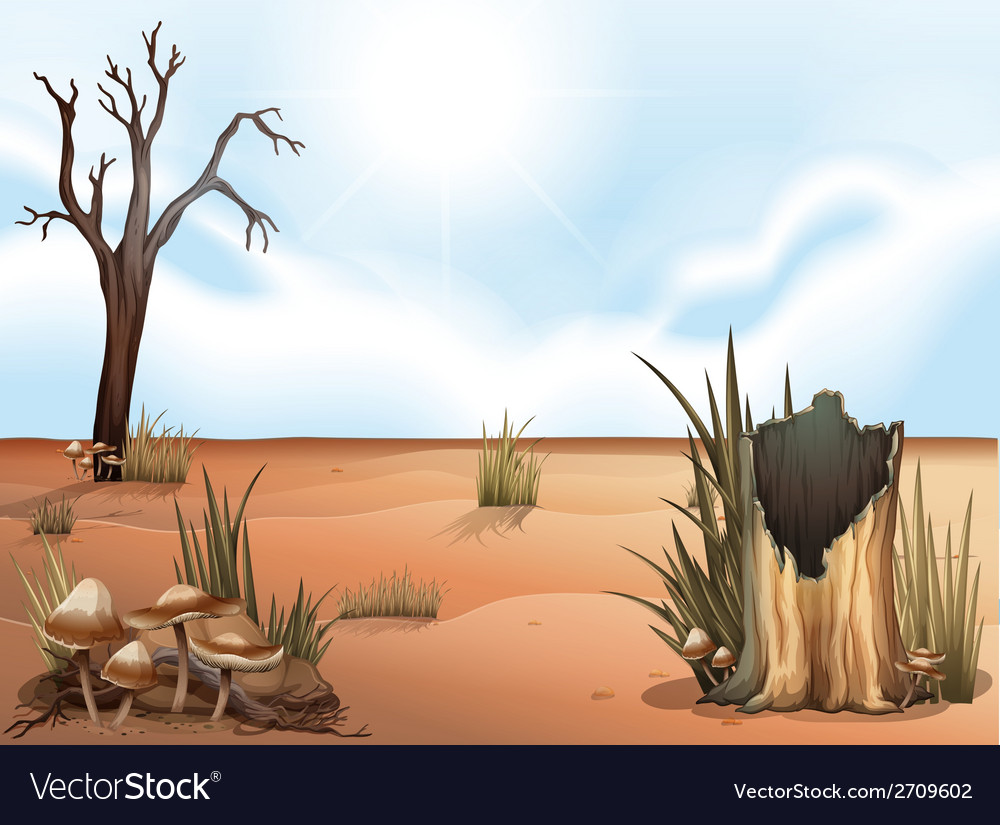 A desert Royalty Free Vector Image - VectorStock