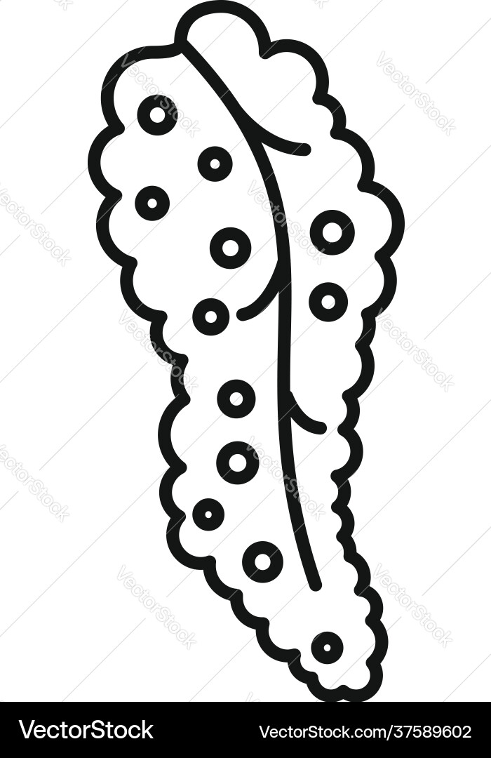 Digestion pancreas icon outline style Royalty Free Vector