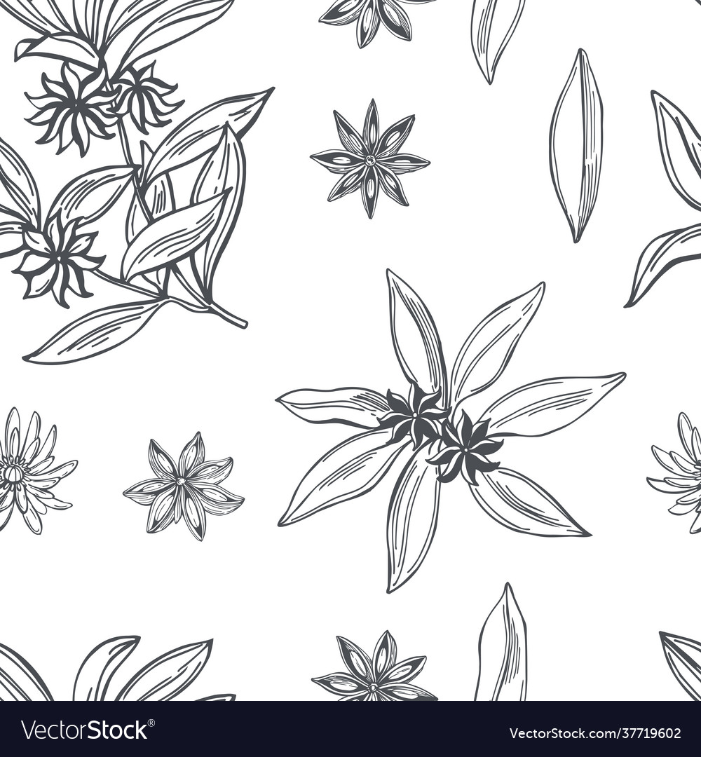 Star anise pattern Royalty Free Vector Image - VectorStock