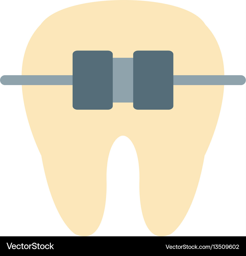 Tooth with braces Royalty Free Vector Image - VectorStock