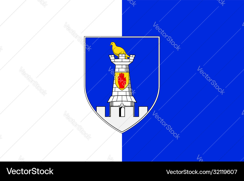Flag monaghan town in ulster ireland Royalty Free Vector