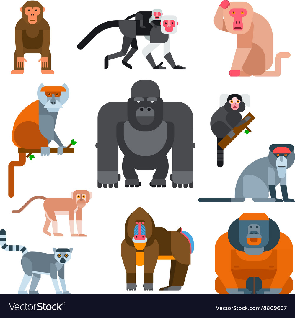 Monkey Royalty Free Vector Image - VectorStock