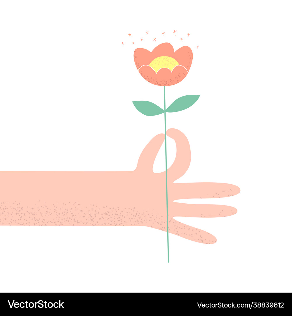Hand and flower to congratulate Royalty Free Vector Image