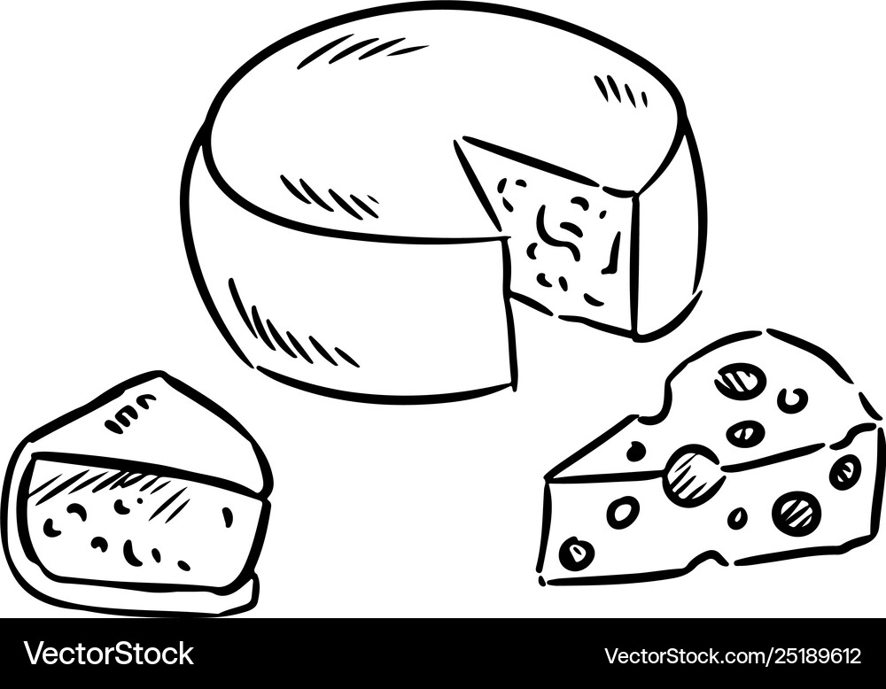 Hand drawn cheese set organic sketch doodle Vector Image