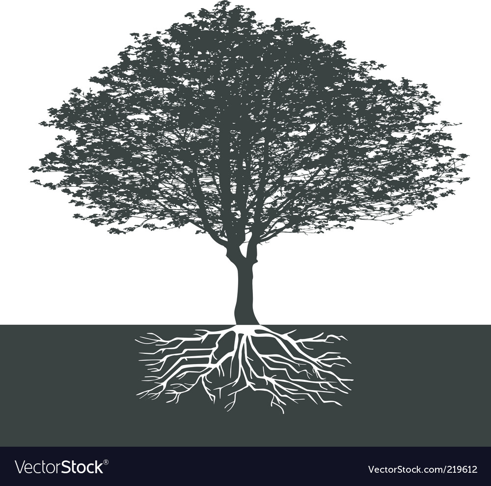 Roots Royalty Free Vector Image - VectorStock