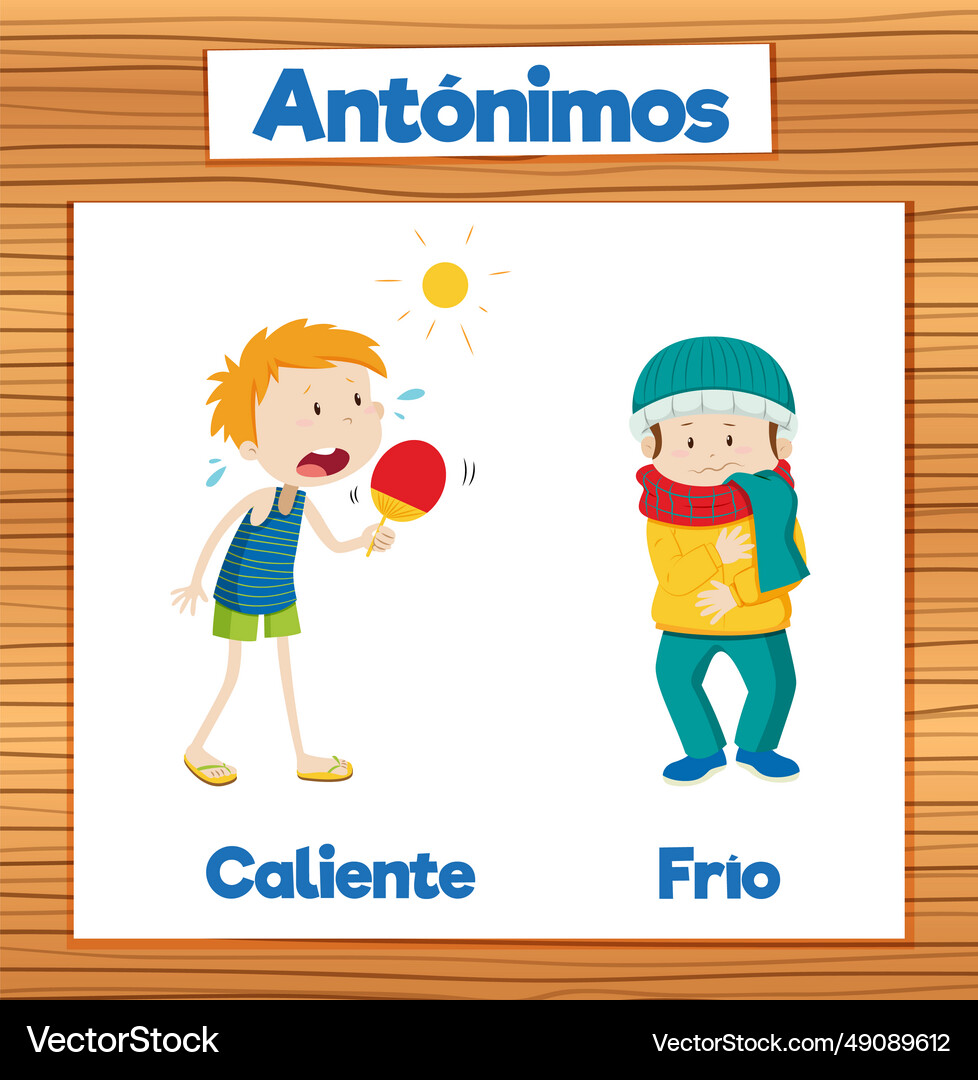 Spanish language education hot and cold picture Vector Image