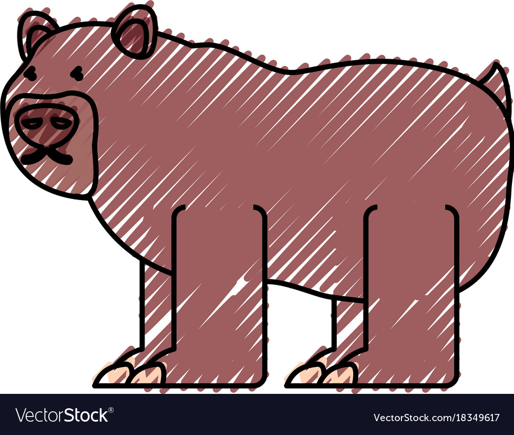 Bear Royalty Free Vector Image - VectorStock