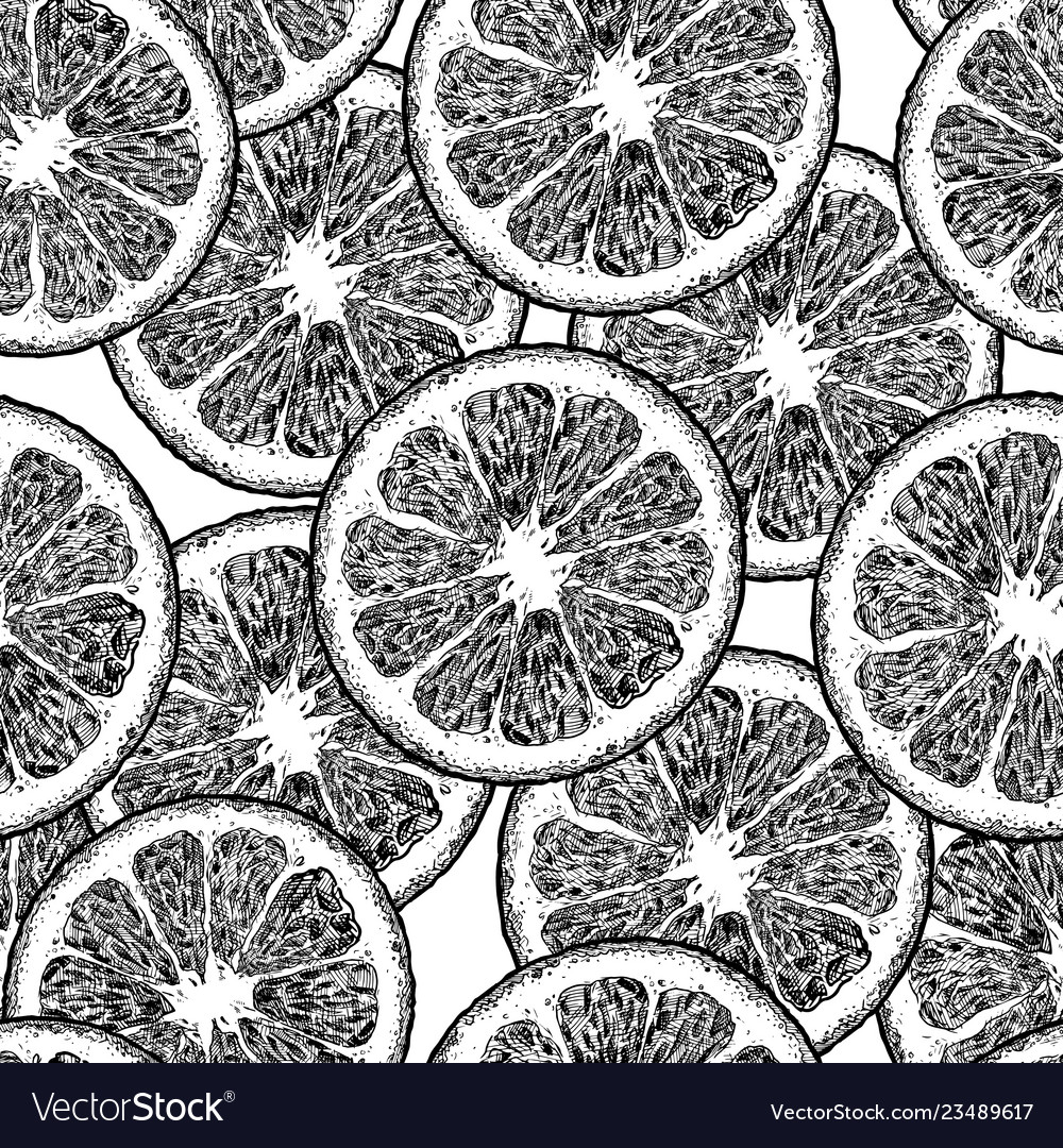 Pattern with citrus Royalty Free Vector Image - VectorStock