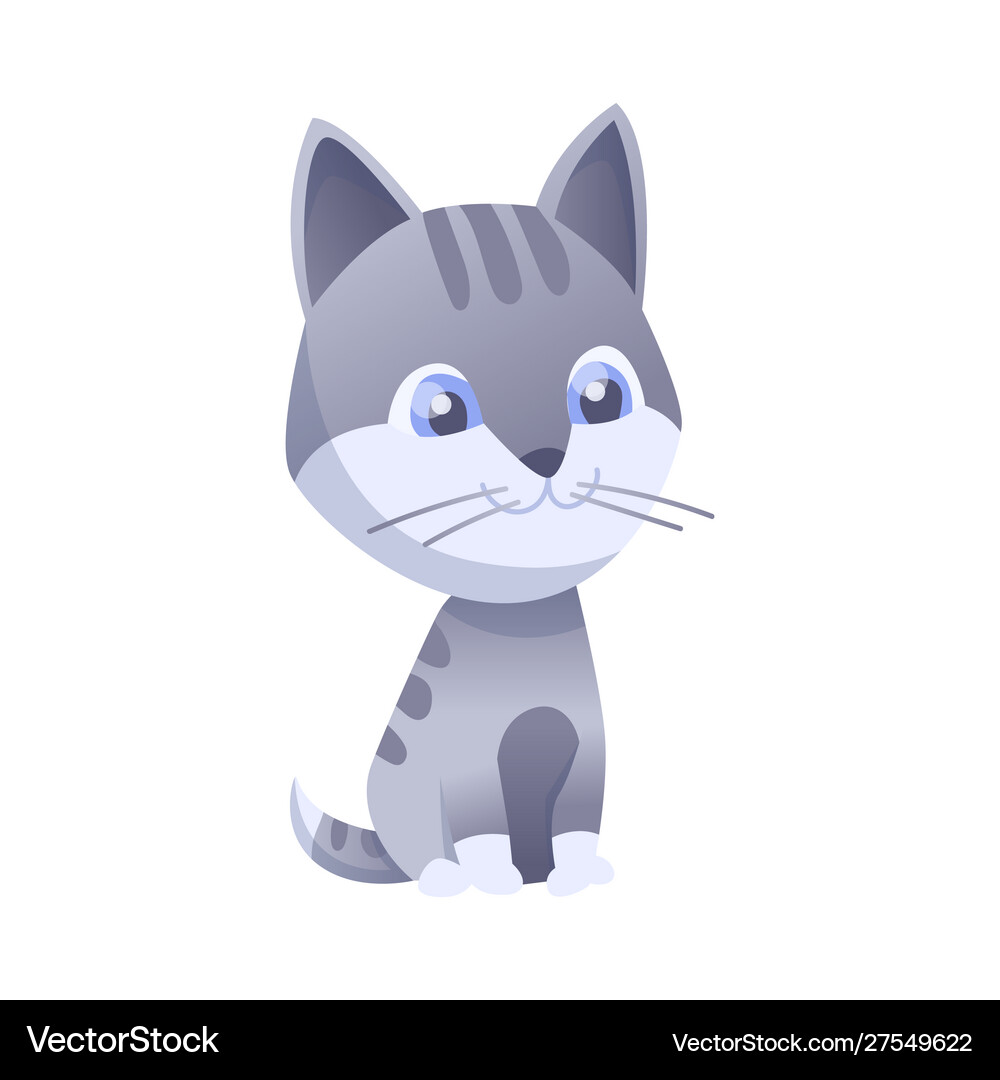 Kitty house domestic cat in Royalty Free Vector Image
