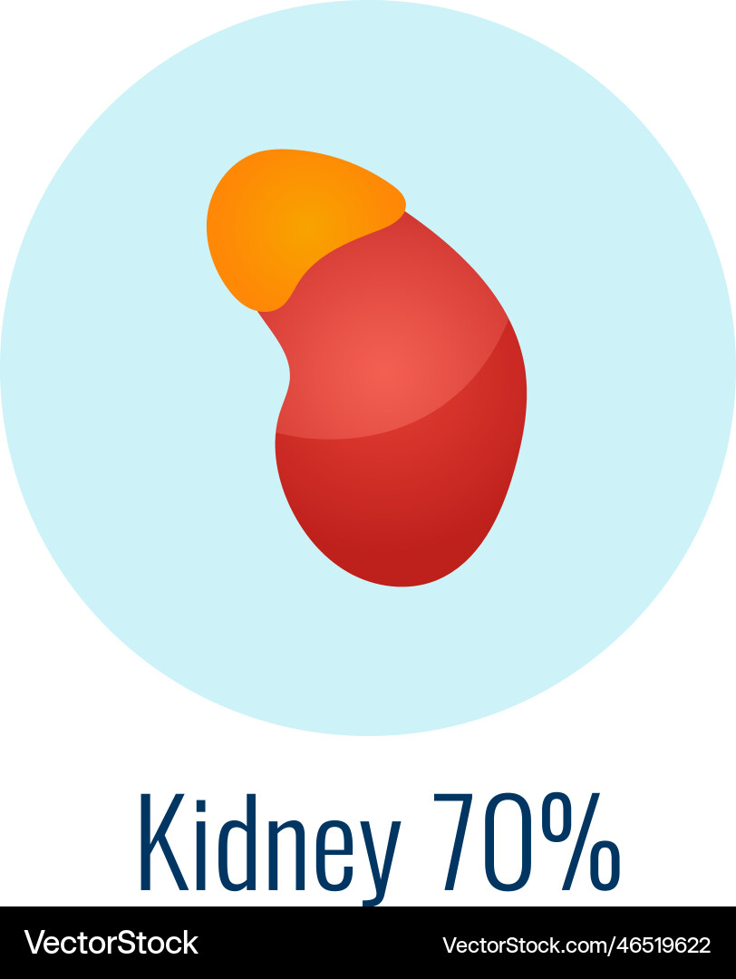 Water in human organ icon Royalty Free Vector Image