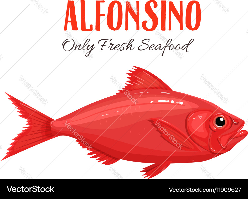 Alfonsino fish in cartoon Royalty Free Vector Image