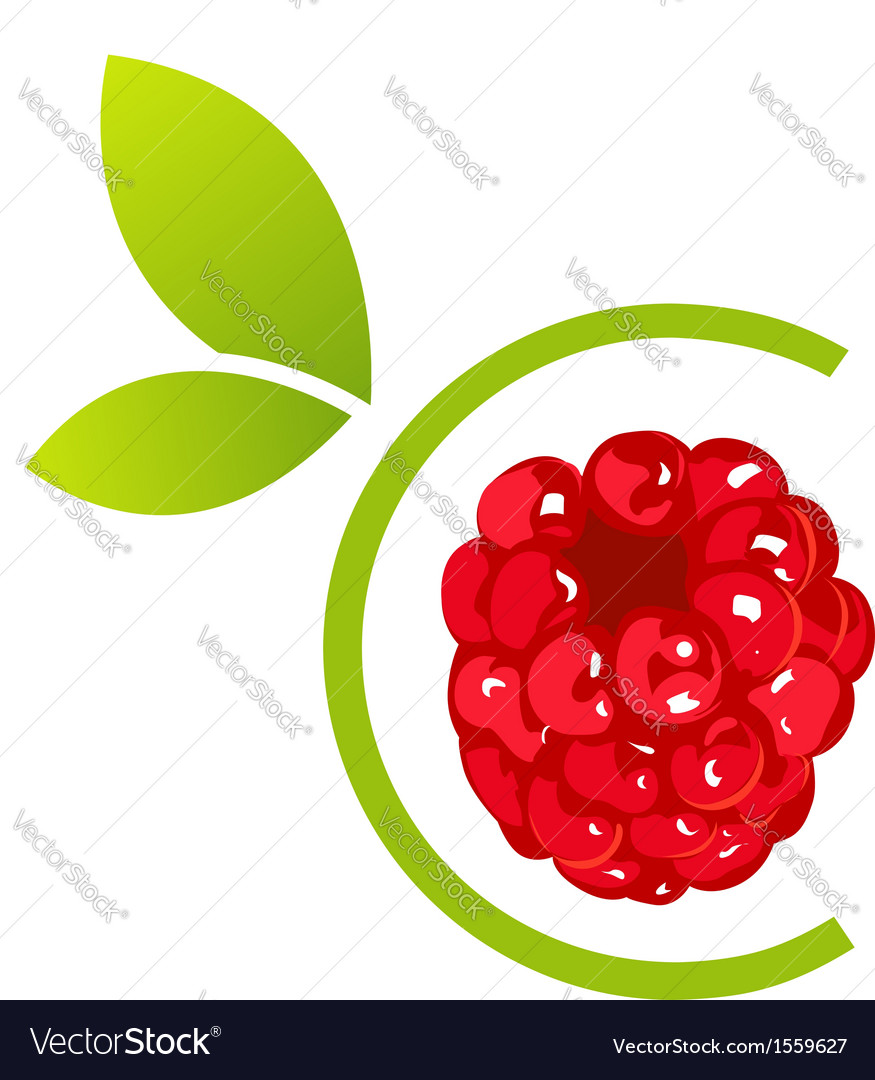 Raspberry logo Royalty Free Vector Image - VectorStock