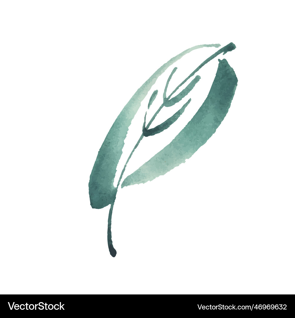 Leaf icons isolated on white background logo sign Vector Image