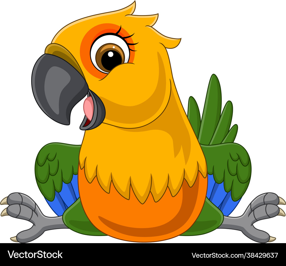 Cartoon funny macaw sitting on white background Vector Image