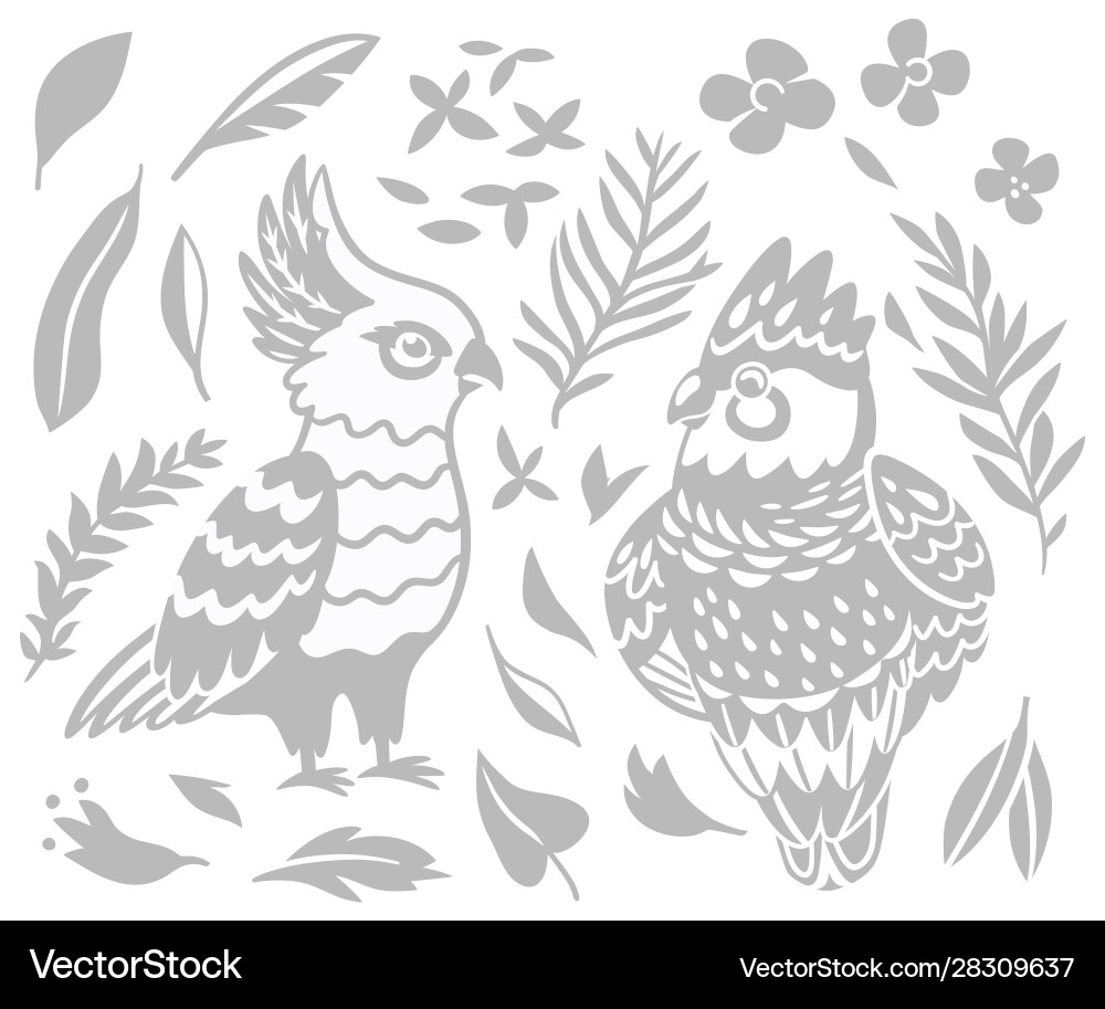 Decorative australian birds - cockatoo and Vector Image