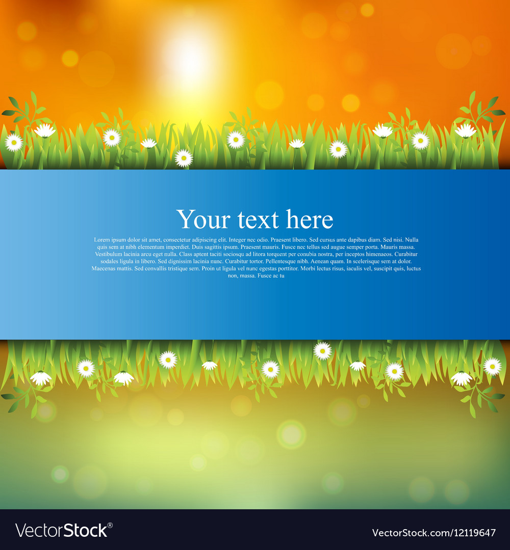 Banner with grass and flowers Royalty Free Vector Image