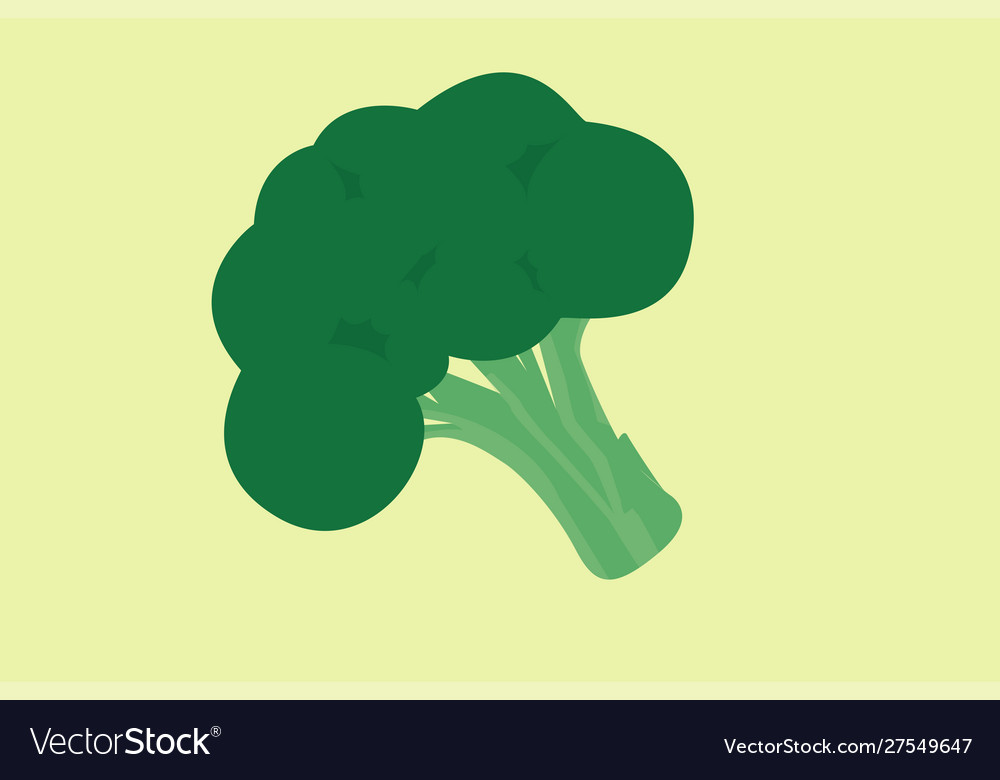 Broccoli Royalty Free Vector Image - VectorStock