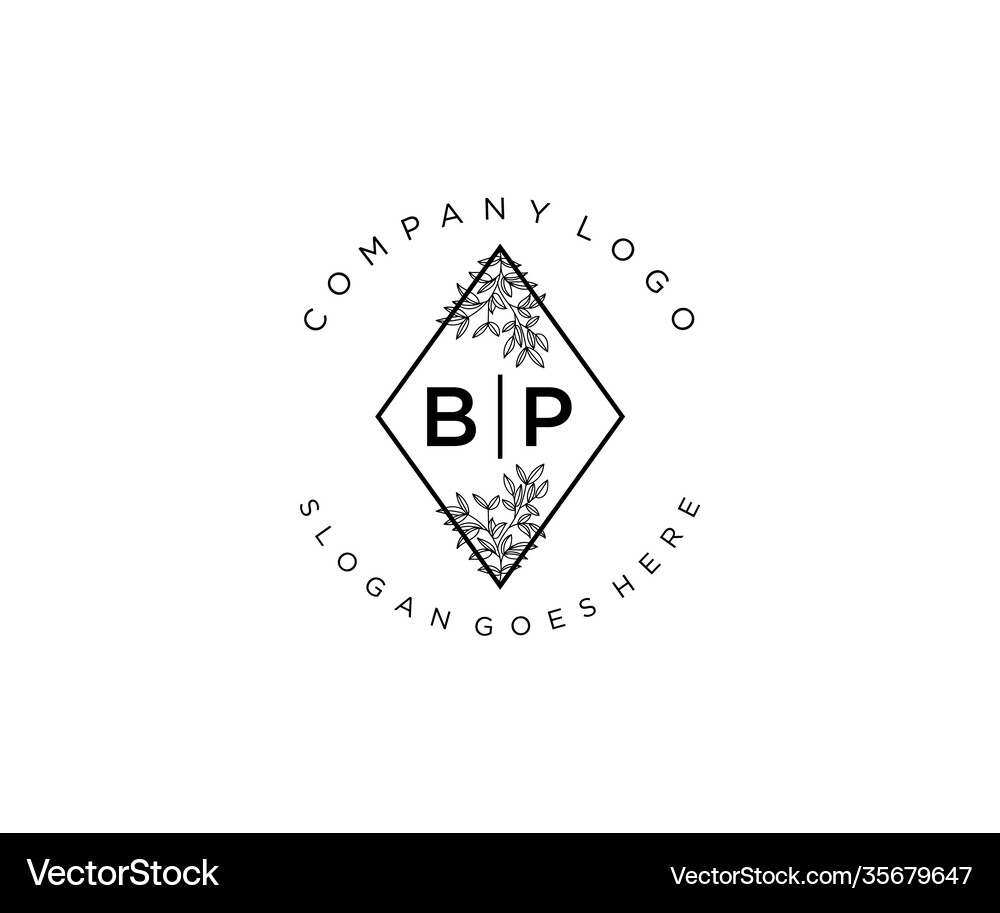 Initial bp letters beautiful floral feminine Vector Image