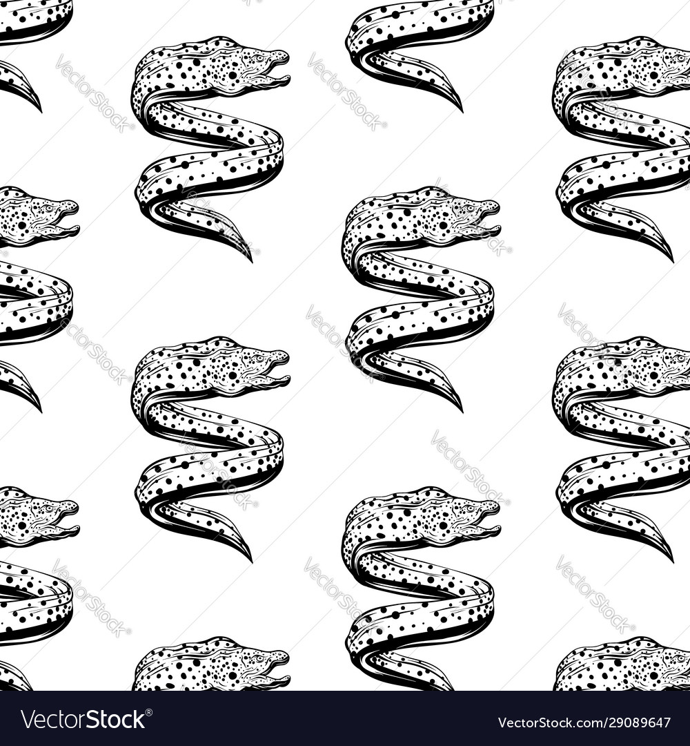 Pattern with hand drawn moray Royalty Free Vector Image