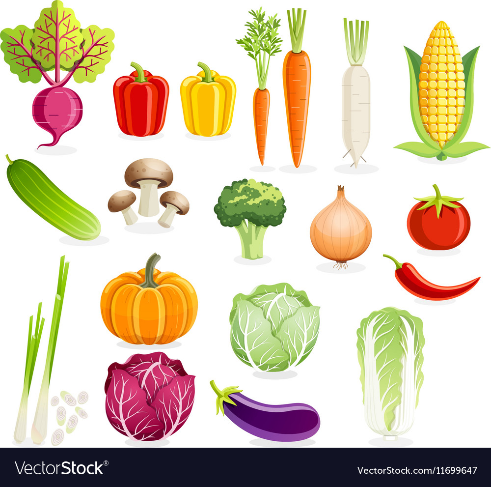 Set vegetables Royalty Free Vector Image - VectorStock