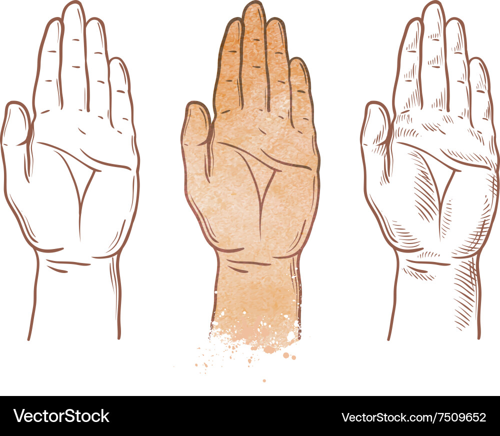 Hand up logo chiromancy palmistry or palm Vector Image