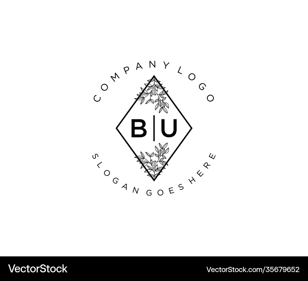 Initial bu letters beautiful floral feminine Vector Image