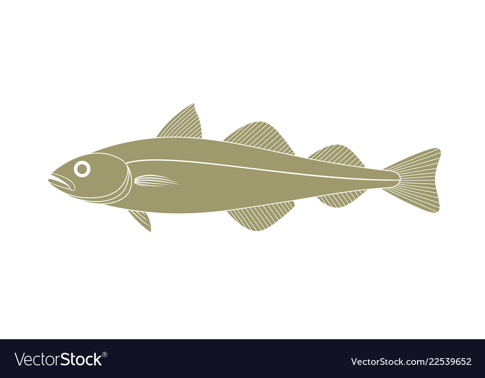 Pollock Royalty Free Vector Image - VectorStock