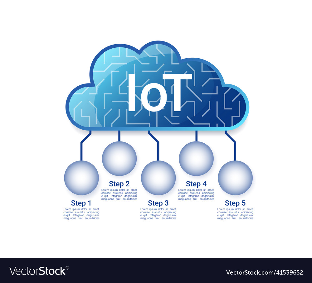Virtual cloud storage infographic chart design Vector Image