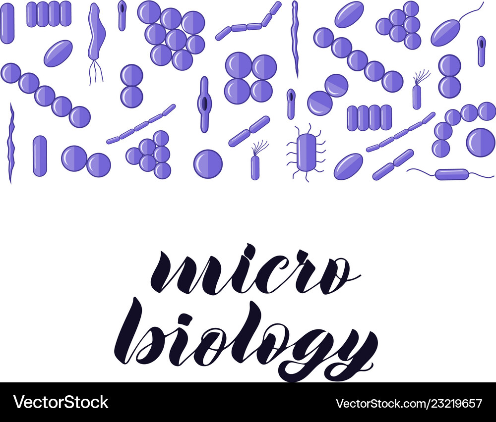 Purple bacterias micro biology hand lettering Vector Image