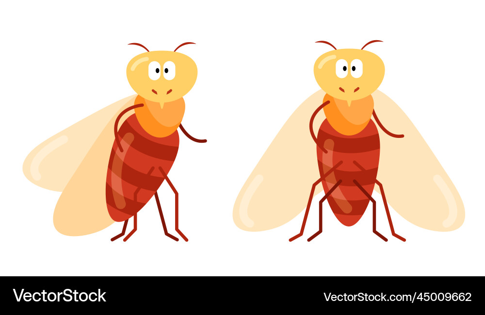 Cartoon character cicada in full face and profile Vector Image