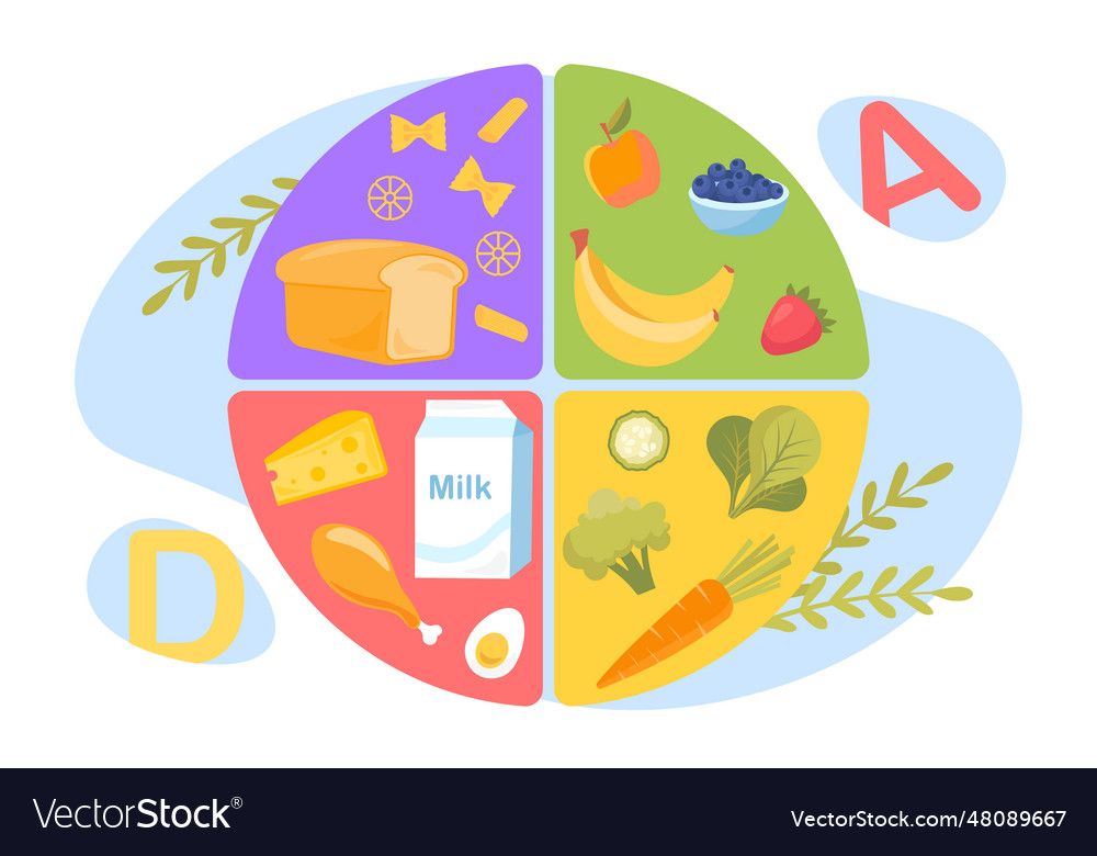 Healthy food circle diagram concept Royalty Free Vector