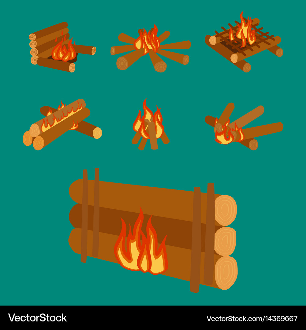 Isolated of campfire logs burning Royalty Free Vector Image