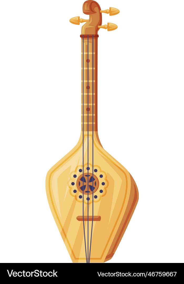 Stringed musical instrument as georgia country Vector Image