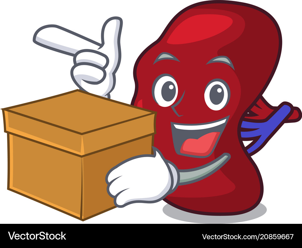 With box spleen character cartoon style Royalty Free Vector