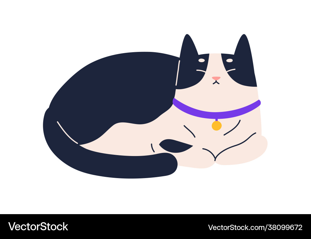 Cute happy relaxed cat purring adorable kitty Vector Image