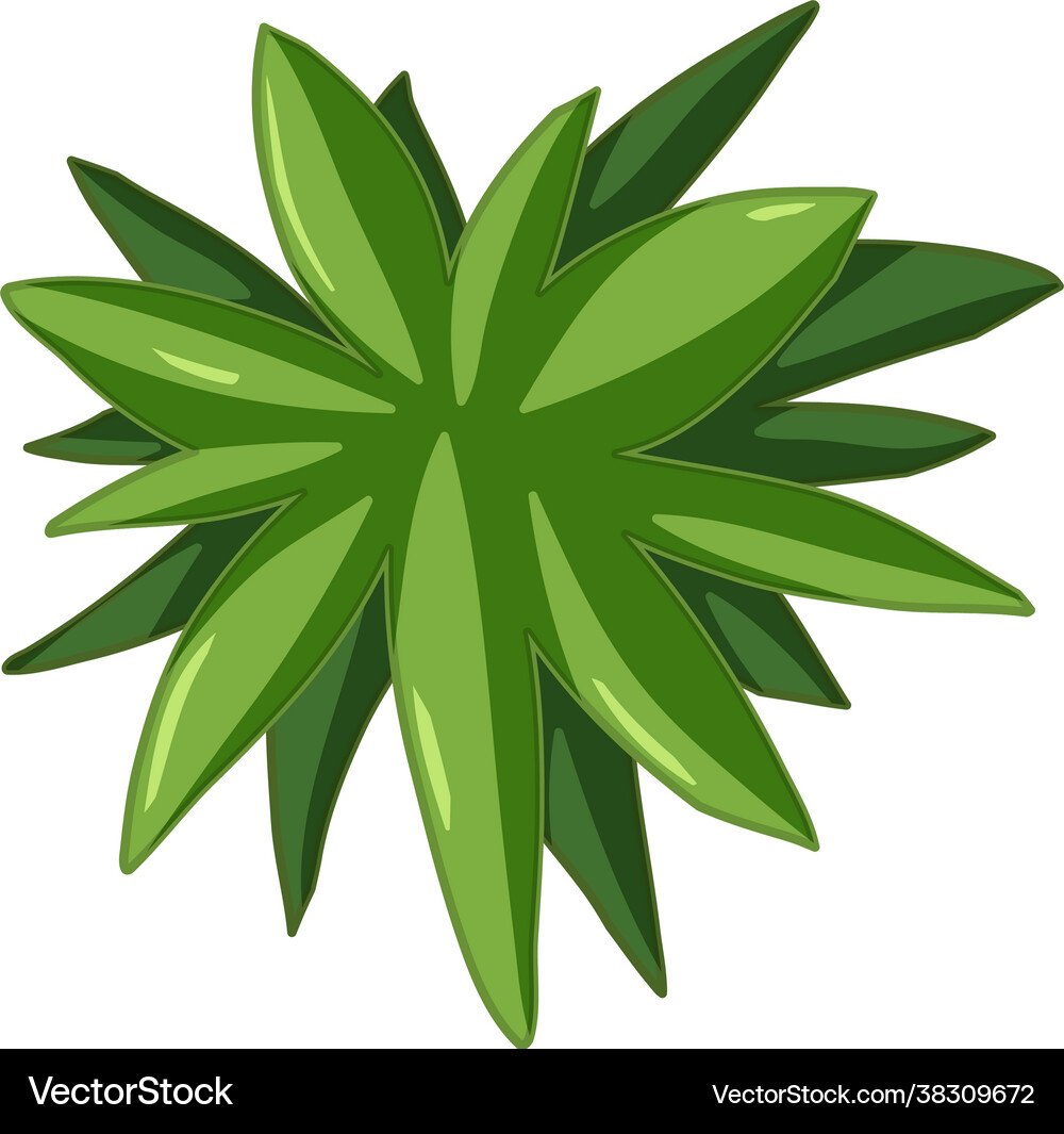 Green leaves cartoon style on white background Vector Image