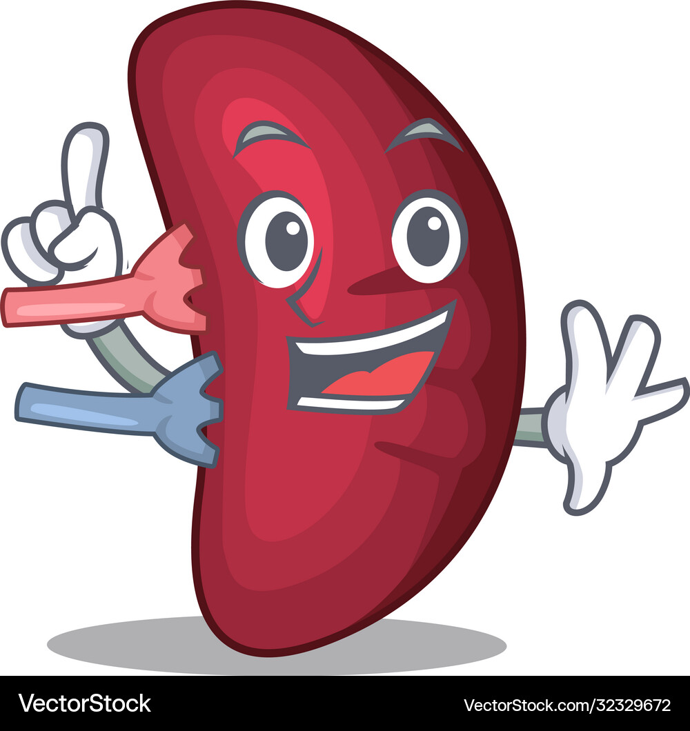 Human spleen mascot character design with one Vector Image