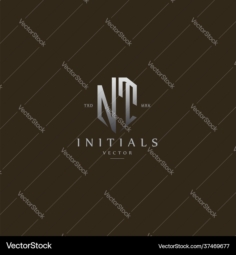 Classy nt vintage metal monogram logo elegant Vector Image