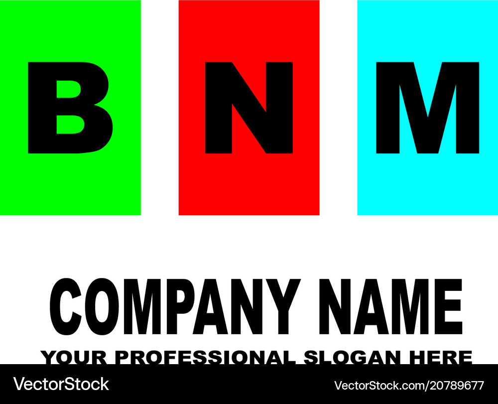 Bnm Logo BNM HIGH PERFORMANCE SOLUTIONS FOR EXPONENTIAL GROWTH