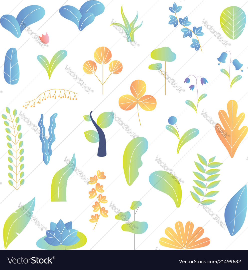Modern plants elements collection Royalty Free Vector Image