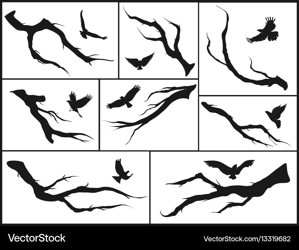 Set of branches and birds Royalty Free Vector Image