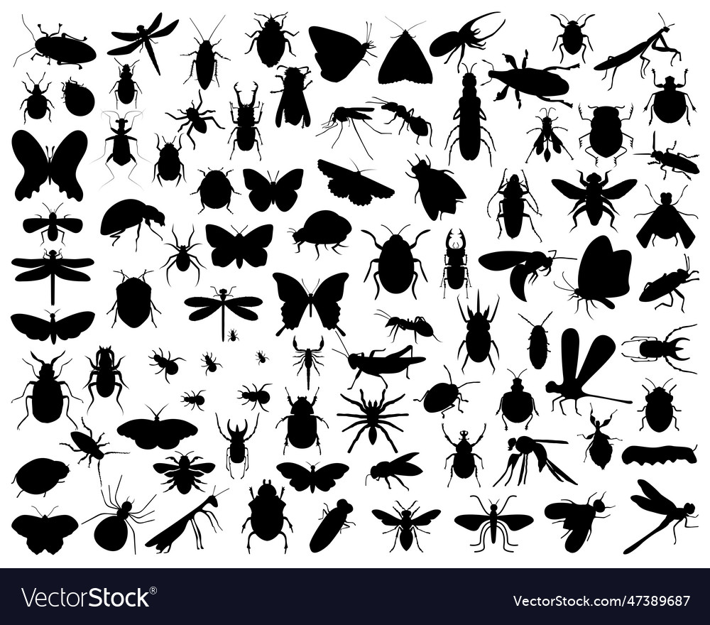 Insects silhouette bundle Royalty Free Vector Image