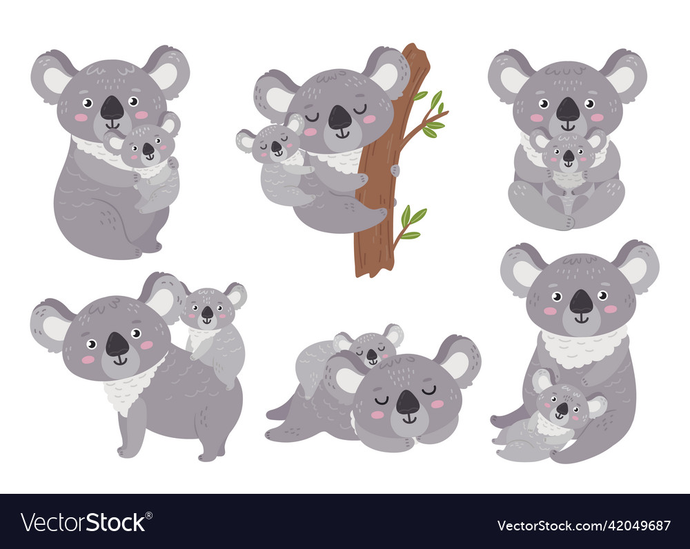 Baby Koala Clipart