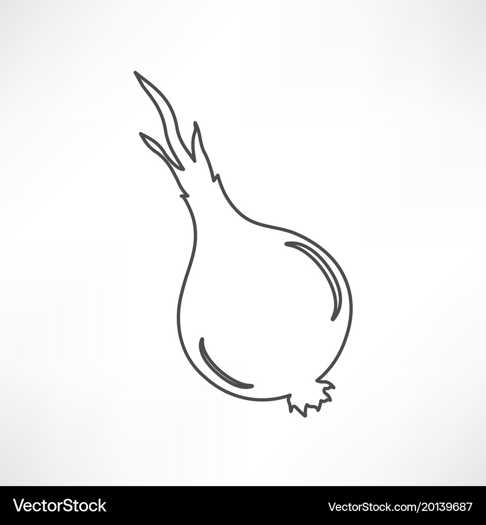 Line art black onion isolated on white Royalty Free Vector