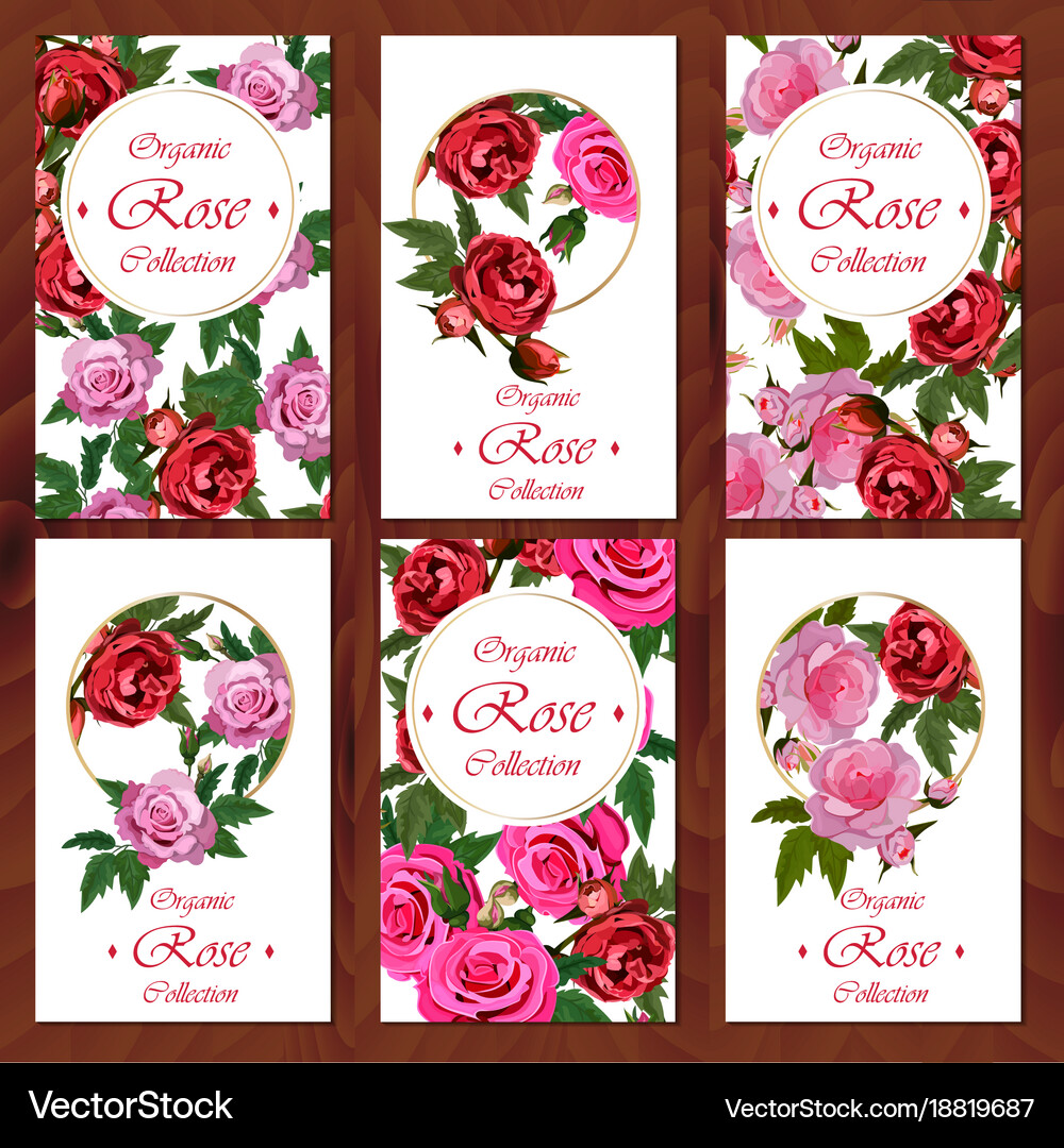 Rose card on wooden background Royalty Free Vector Image