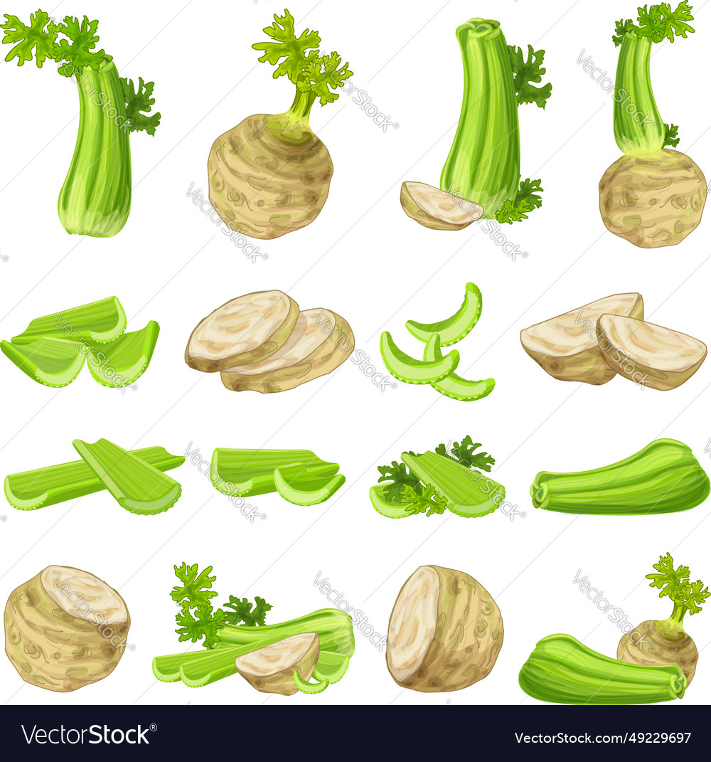 Celery icons set cartoon food healthy Royalty Free Vector